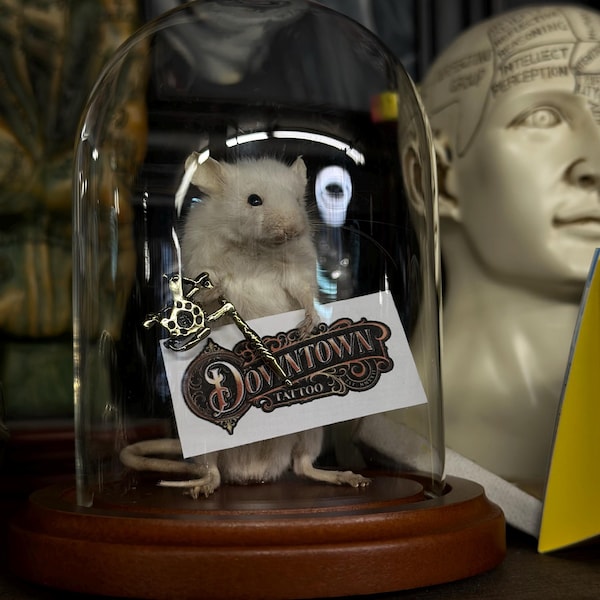 Cowboy Bandit Taxidermy Squirrel Western Country Finger Guns - Etsy