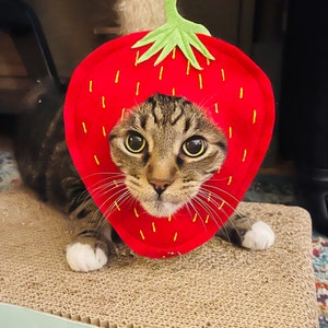 Cheeseburger Pet Hat Costume for Cats Small Dogs in Soft - Etsy