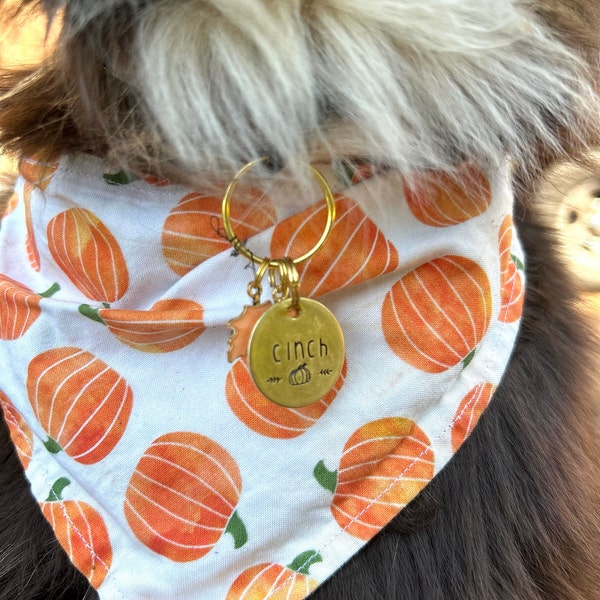 OH MY GOURD Dog Tag, Pet Id Tag, Personalized Dog Tag, Hand Stamped Dog ...