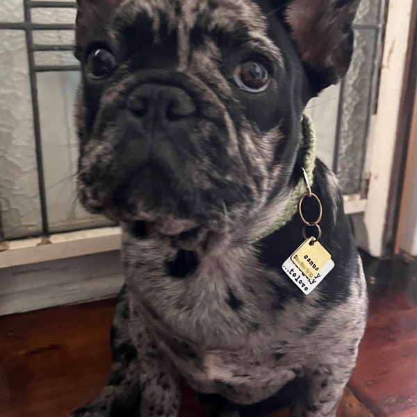 The Emma 007 Bow Pet ID Tag Small Dog Cat Feminine Unique Handstamped ...