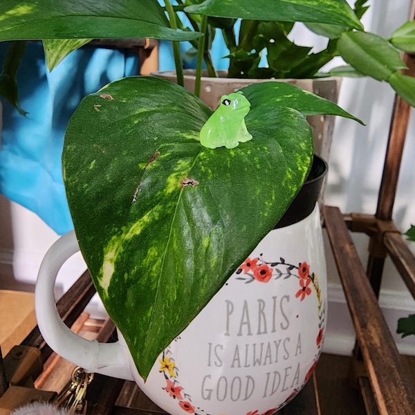 Cloud Shaped Rainbow Window Clings. Prism and Light Bending. Unique ...