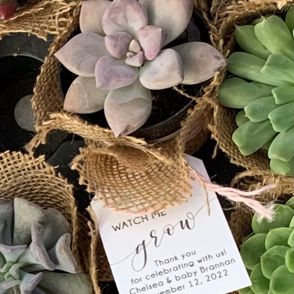 Baby Shower Favor Succulents Tags, Baby Shower Thank You Tags, Watch Me ...