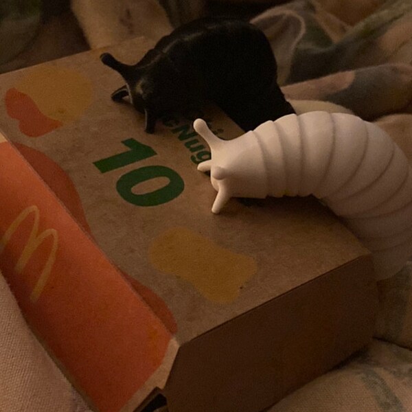 Customizable Zebra Slug, 4.5 Inch 3D Printed Fidget Slug - Etsy