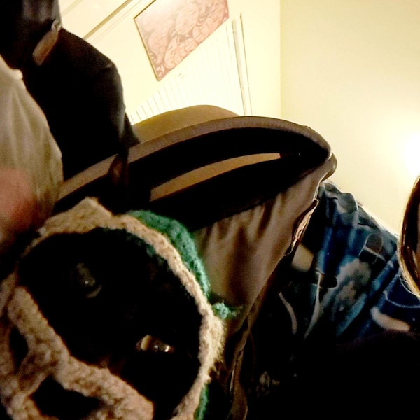 CROCHET PATTERN - Alien Cat Costume Pattern, Toy Story Alien Cat Hat ...