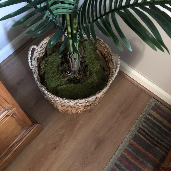 Birch Tree Bark Roll 300cm Long X 15cm Wide - Etsy