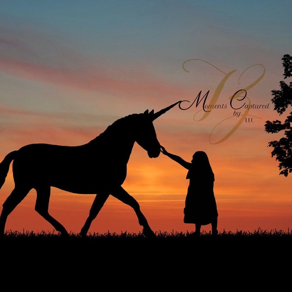 The Ultimate Guide to in the Box Photography, Video Tutorials, Learn ...