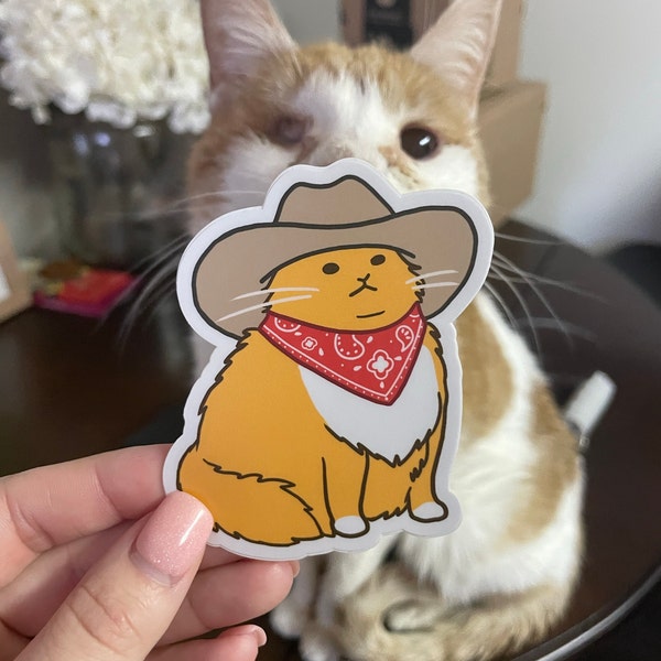 Matte Cat Stickers - Etsy