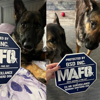 FAFO 2nd Amendment Security Sign Digital File F Around and Find Out ...