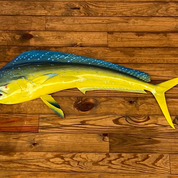 Blue Marlin Half-side Fish Mount 57" - Etsy