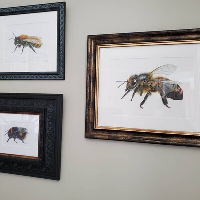 CARD Buff-tailed Bumblebee Native Bee Art Wildlife Nature Beekeeper ...