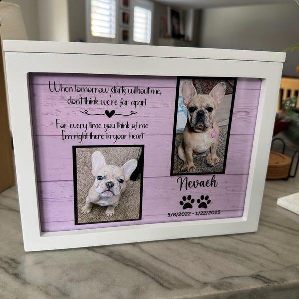 Pet Memorial Shadowbox, Large Shadowbox Display, Dog Memorial , Cat ...