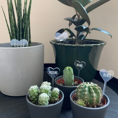 Set of 3 Plant Tags, Custom Plant Tags, Plant Labels, Acrylic Plant ...