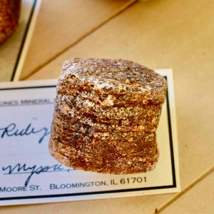 Authentic K-T Boundary kpg Boundary Sediment Layers - Etsy