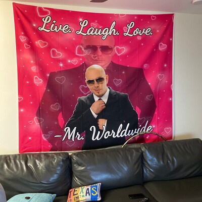 Hasbulla Collage Throw Pillow Hasbulla Collage Pillowcase - Etsy