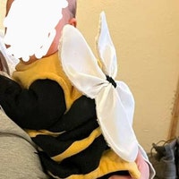 Baby Bumble Bee Costume Sewing Pattern - Printable PDF Pattern for ...