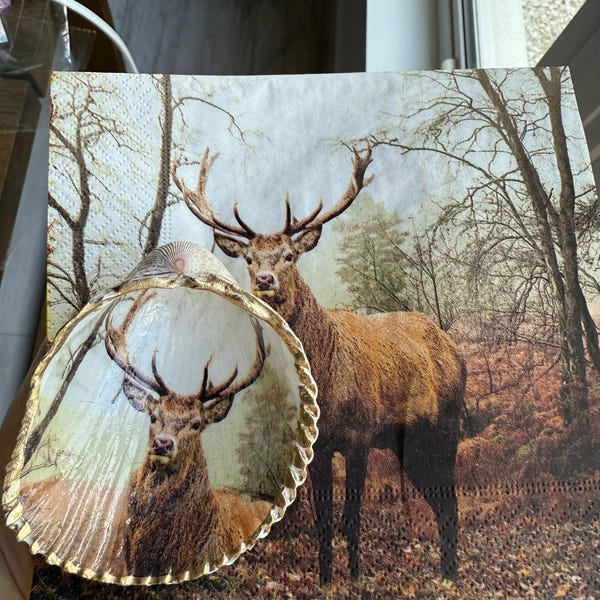 FREE SHIP Two Paper Luncheon Decoupage Art Craft Napkins design 27 ...