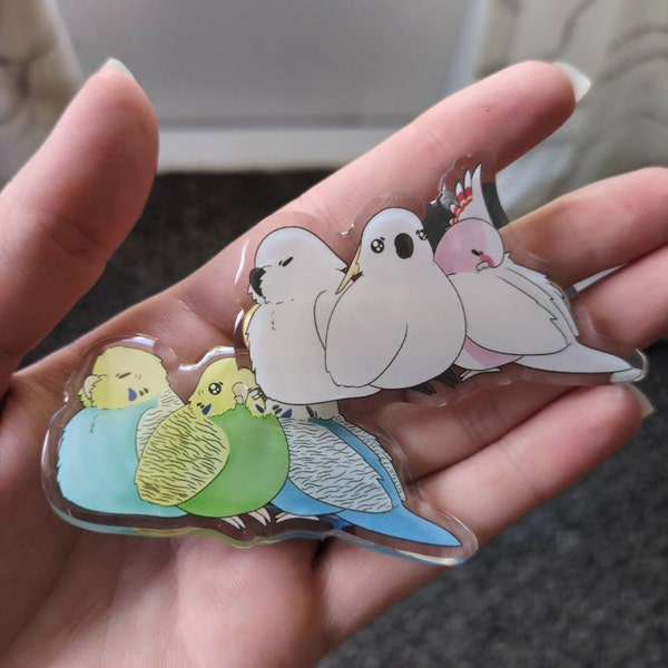 Acrylic Bird Hair Clips | Epoxy Acrylic Hair Clip | Gift for Bird ...