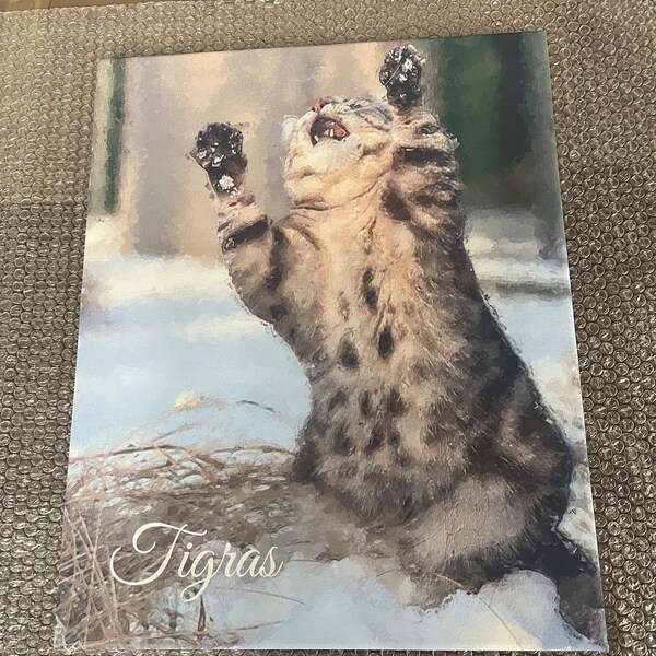 2x Custom US DOT Trucking Decal Stickers Tow Truck, Trucking, 18 ...