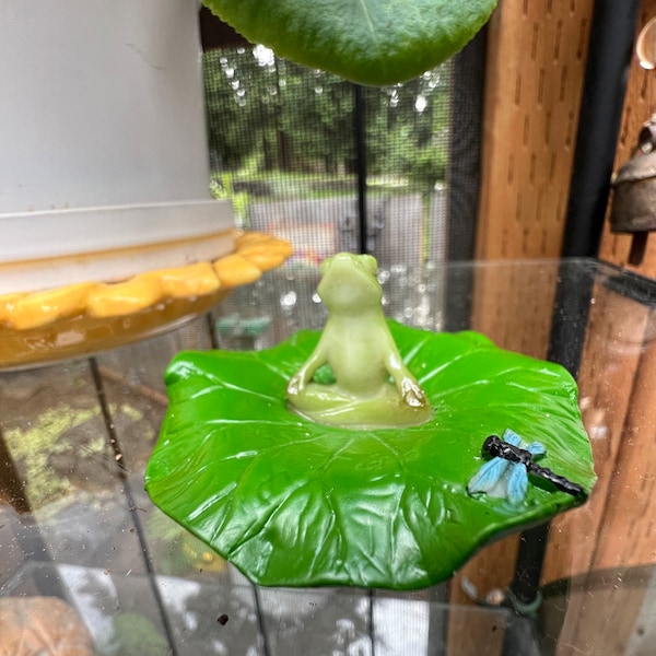 Miniature Zen Garden Meditating Tree Frog on Rock With Om Symbol ...
