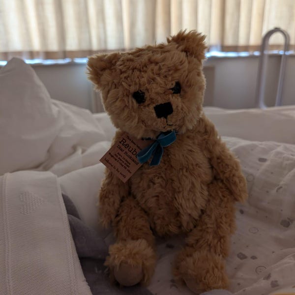 Personalised New Baby Teddy Bear | New Baby Gift | New Born Teddy ...