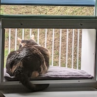 Cat Solarium Conservatory Package the Ultimate Cat Window Box. Cat ...