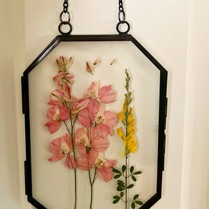 Set of 2 Double Glass Frame for Pressed Flowers, Photos and Artwork ...