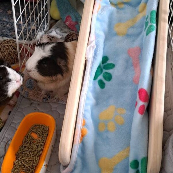 INDOOR Ramp With Sides Option 5.5-11.25 Inches Wide 10"-70" Long 7lb ...