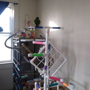 42 Tall 1 PVC Macaw Parrot Perch Stand Swing | Etsy