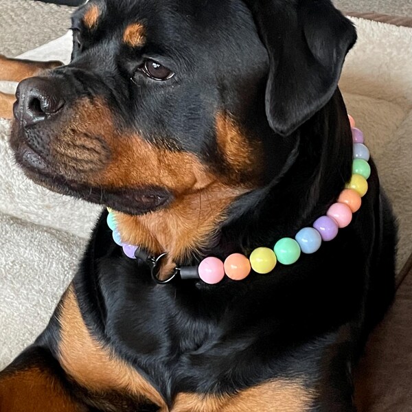 Pastel Rainbow - Beaded Collar, Durable Dog Necklace, Dog Pearls, Dog ...