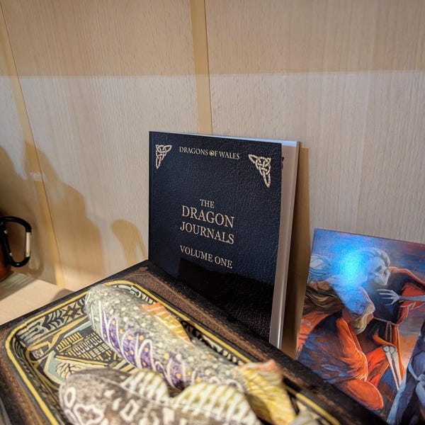 NOVOSAURS 2 Book - Etsy