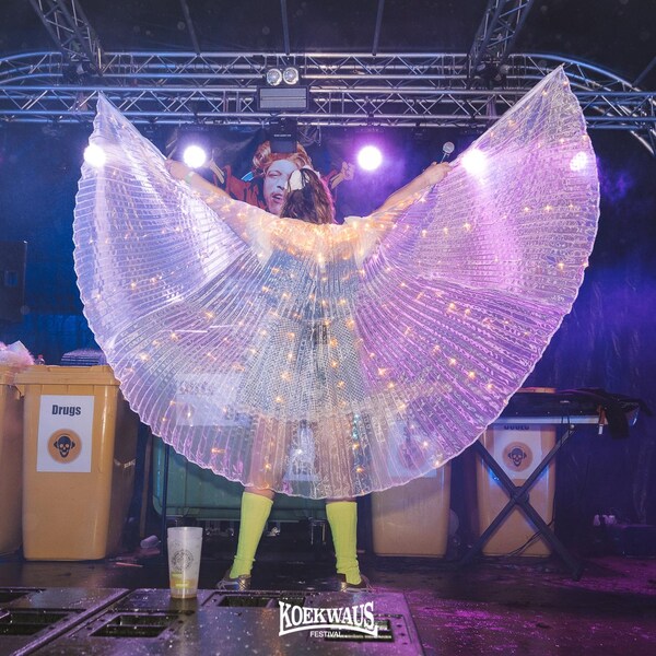 LED White Butterfly Wings, Light up Belly Dance Wings, White LED Wings ...