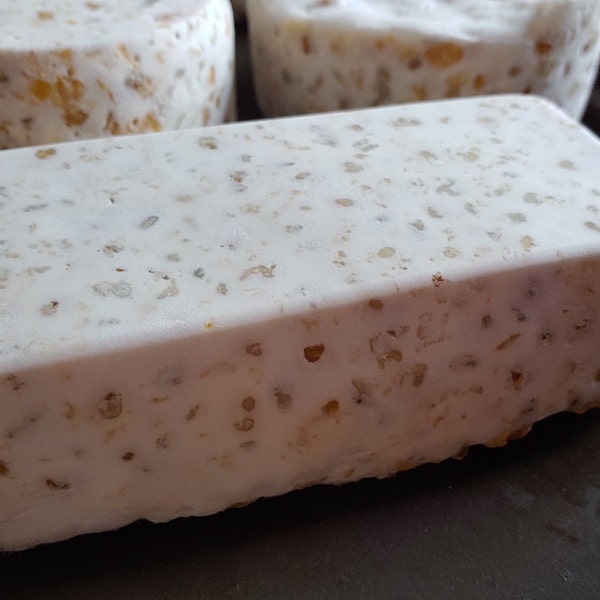 Soy-free Organic Tempeh Starter Culture - 100g, Rhizopus Oligosporus ...