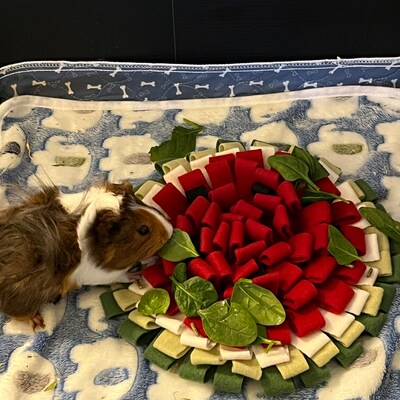 Pink Flower Snuffle Mat for Rabbits, Guinea Pigs, Dogs and Other Pets ...