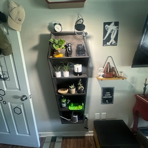 72 / 6 Foot Coffin Bookshelf, Goth, Spooky, Home Decor, Bookcase ...