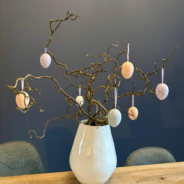 Real Decorative Dried Corylus Branches Wabi Sabi Twigs for Vase ...