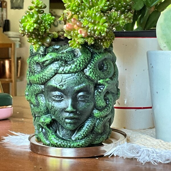 Hand-painted Concrete Medusa Head Planter | Small Greek Mythology ...
