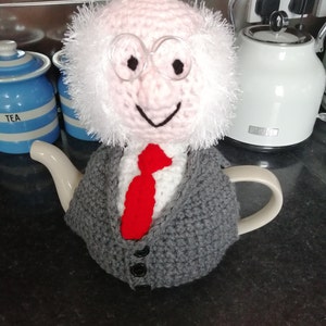 Michael Tea Higgins /michael D Higgins Tea Cosy Miggeldy T - Etsy Ireland