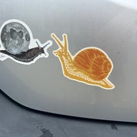 32oz Wide Mouth Nalgene Water Bottle: Chaparral, Acorn Woodpecker ...