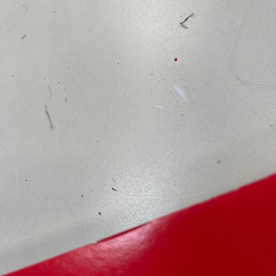 Fall Bulletin Board We're Nuts About Fall Squirrel and - Etsy