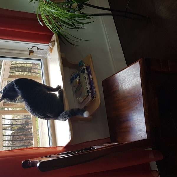 Wooden Dog Window Perch: Natural Wood Windowsill Seat, Custom Size - Etsy