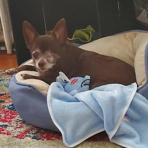 HAPPY SNUGGLES Dog Gift Basket - Etsy