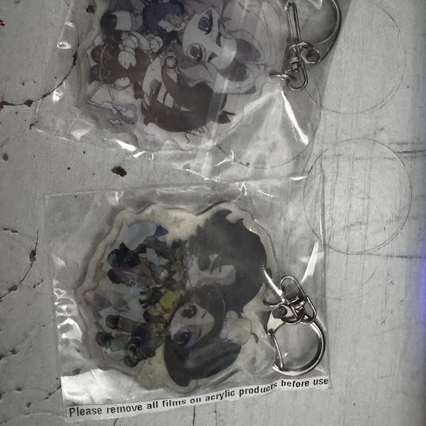 Honkai Star Rail Acrylic Keychain With Sakura Clasp -4 Characters Robin ...