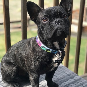 Cute Kawaii Style 1 Inch Width Dog Collar - Etsy