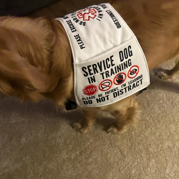 Vest adjustable Size, in Training Do Not Approach, Light Weight Sd ...