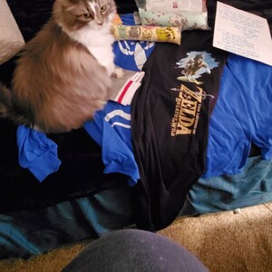 Link's Pajamas Long Sleeve Legend of Zelda: the Wind Waker - Etsy