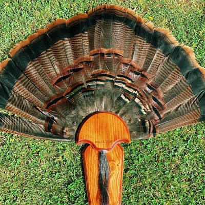 Handmade Classic Turkey Mount Plaque - Etsy