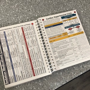 Labs Fishbone Medication Levels ABG Reference Badge ID Nursing Student ...