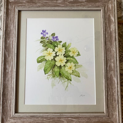 RACCOON: Signed Print of a Watercolour Painting by Jan Taylor - Etsy