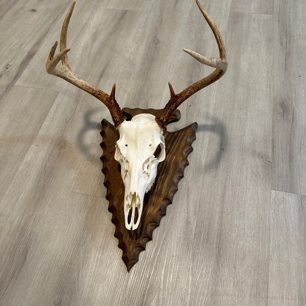 Euro Mount Pedestal - Etsy