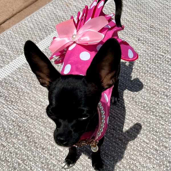 Dog Show Training Stack Box Toy Adult Size Stack Training 20" X 12 ...